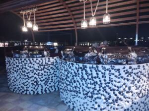 Evening Desert Safari with BBQ Dinner, 125 AED-Dune Drifters